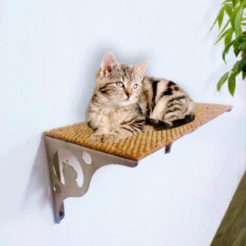 Cat Climbing Wall Shelf Unit in Stainless Steel - Helping Animal Shelt ...