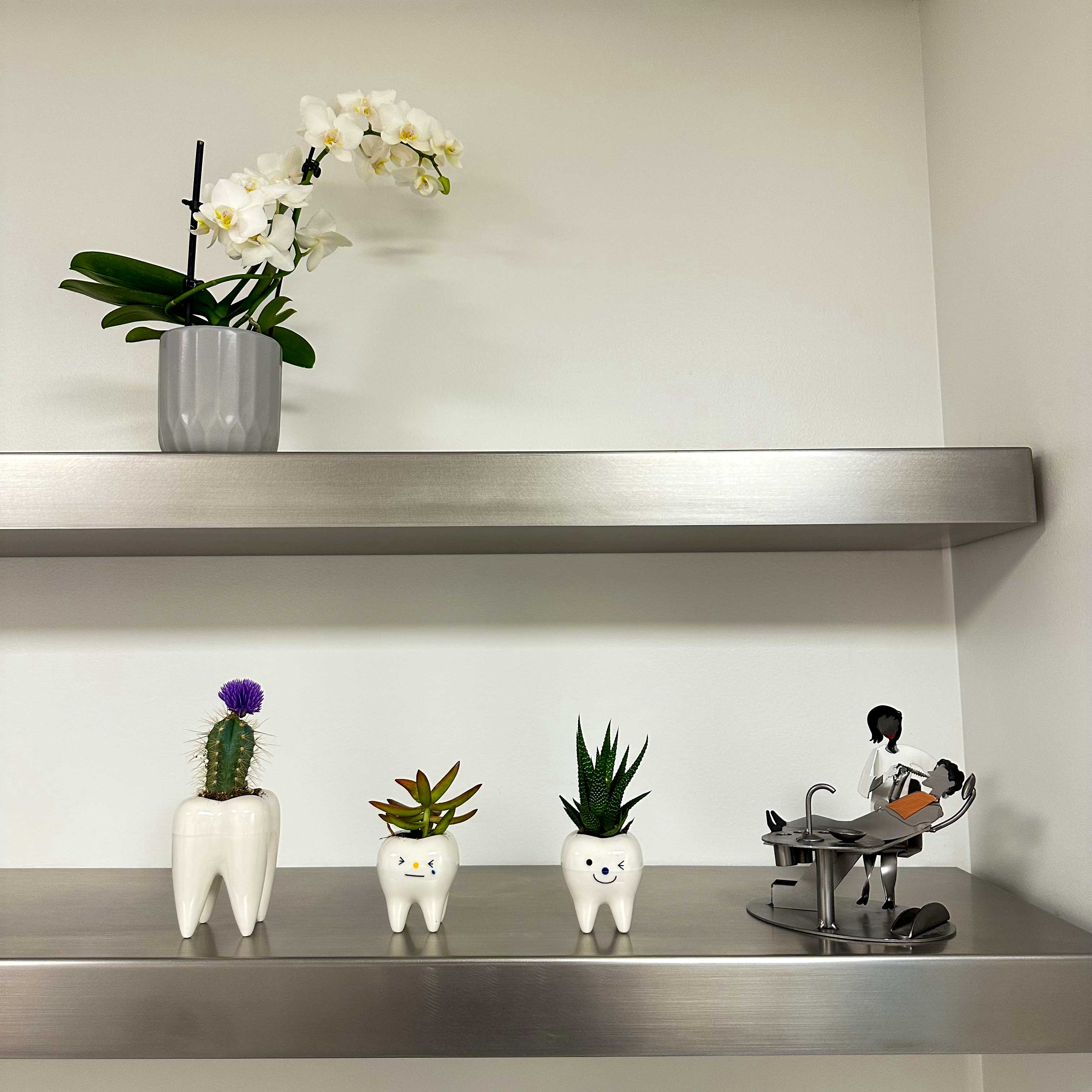Stainless Steel Floating Shelf 8" Deep for Kitchen, Bathroom and Home ...