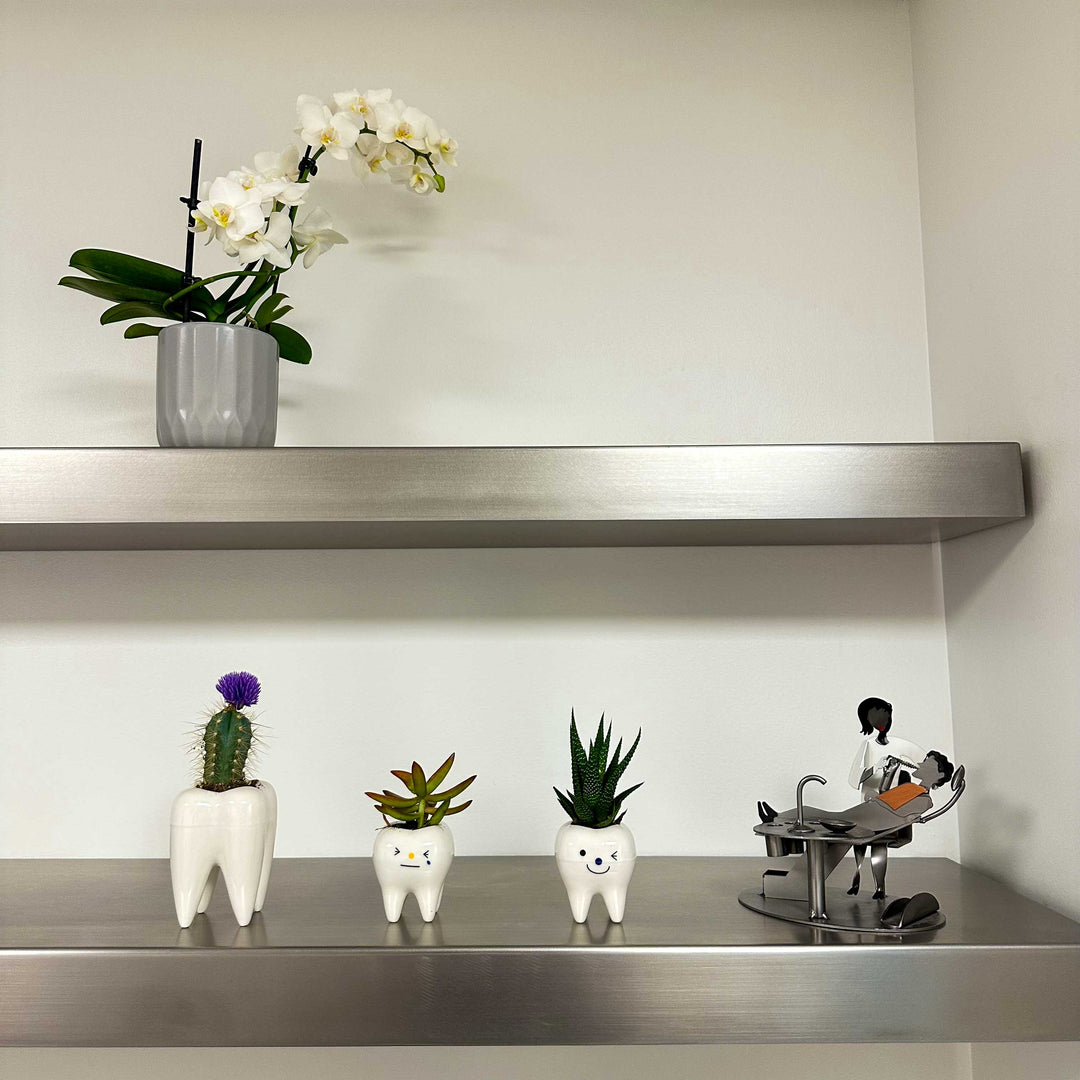 Stainless Steel Floating Shelf 8" Deep for Kitchen, Bathroom and Home ...