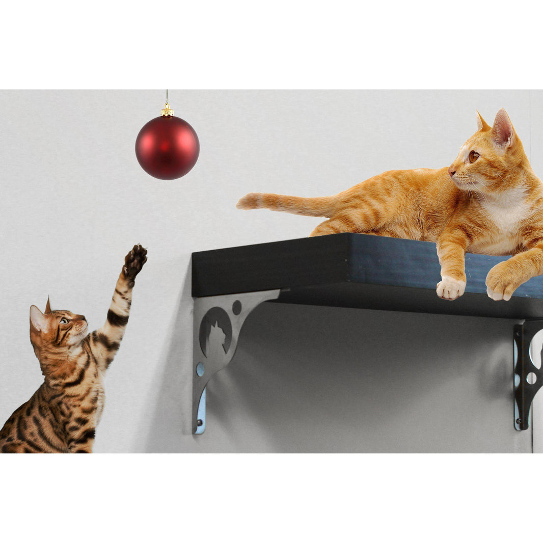 Shelving – Cascade Manufacturing